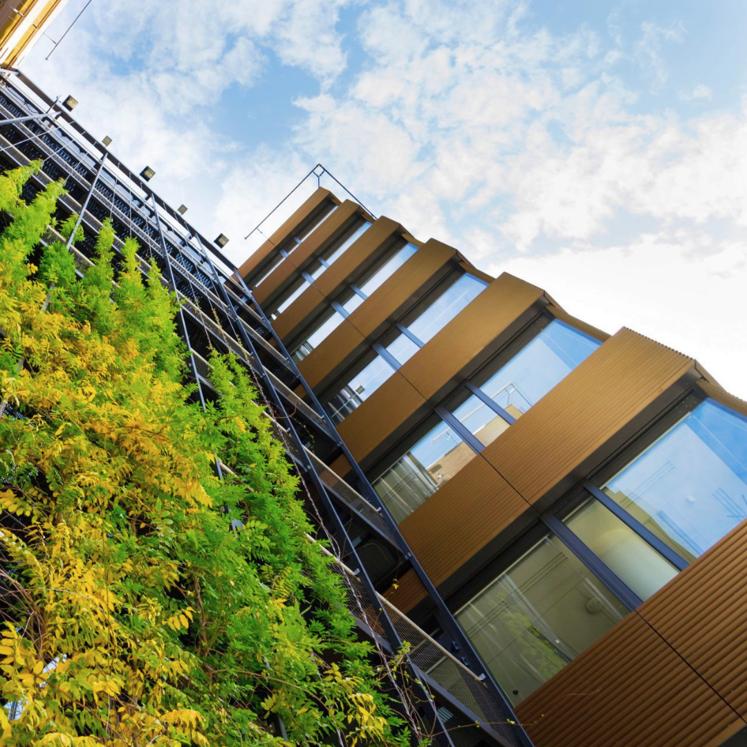 The Logical, Cost-Effective, and Inevitable Green Transition in ...